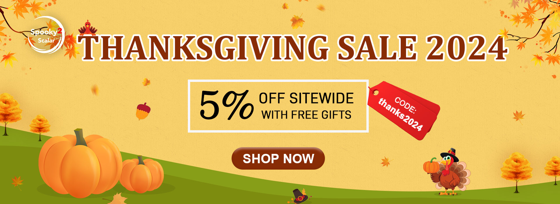 Enjoy Spooky2 Scalar Healing at Home - Spooky2 Scalar