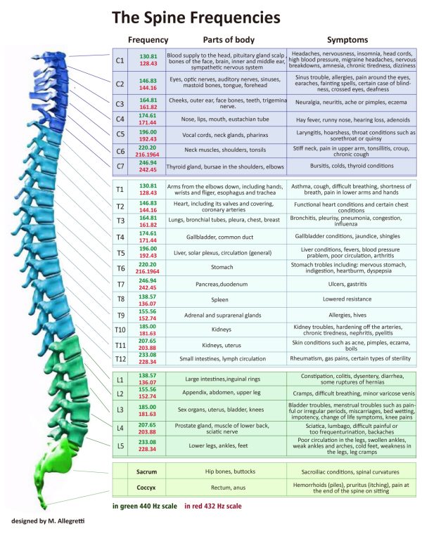 Heal Spine Fast with Spooky2 Scalar: Effective Pain Relief